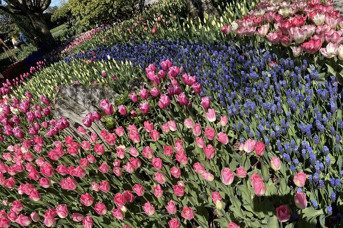 Tulip Festival in Skagit Valley Tour from Seattle - Exploring Small Towns and Natural Highlights