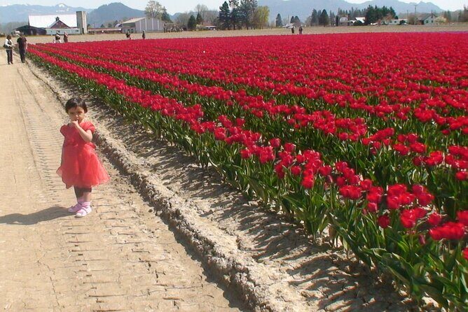 TULIP Festival @ Skagit Valley, La Conner & Deception Pass in SUV - Why Value Matters in This Tour