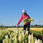 Tulip Valley Farms U Pick Experience - Who Is This Tour Best For?