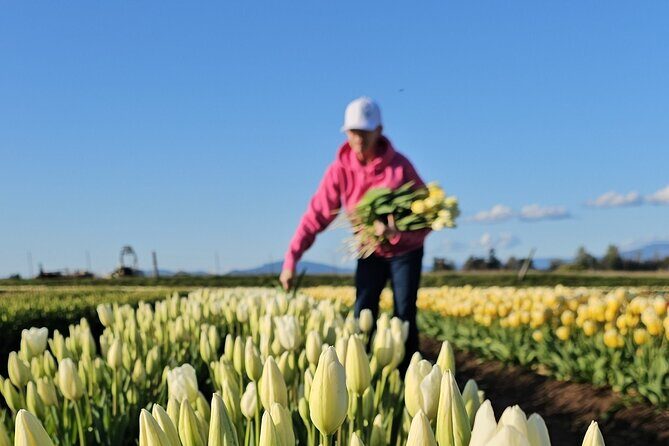 Tulip Valley Farms U Pick Experience - Who Is This Tour Best For?
