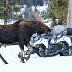 Turpin Meadow Ranch Snowmobiling in Jackson Hole - Is This Tour Worth the Price?