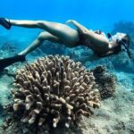 Turtle Gardens West Maui Snorkel Tour - Practical Considerations: Price, Duration, and Group Size