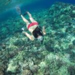 Turtle Reef Snorkel Adventure - What Reviewers Say and What You Can Expect