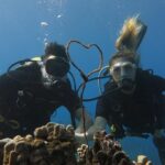 Turtle & Shark Scuba Dive in Lahaina: Certified - Why This Tour Appeals to Different Types of Travelers