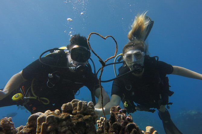 Turtle & Shark Scuba Dive in Lahaina: Certified - Why This Tour Appeals to Different Types of Travelers
