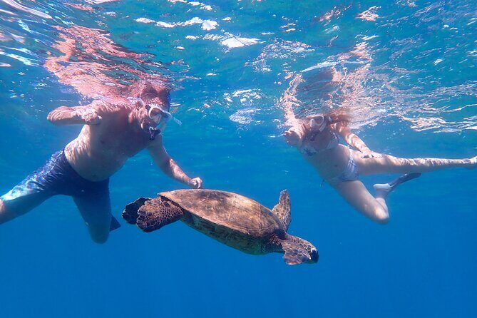 Turtle Town Beach Snorkel - Final Thoughts