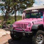 Tusayan: Grand Canyon Desert View & South Rim Pink Jeep Tour - Exploring the Grand Canyon with Pink Jeep Tours: What to Expect
