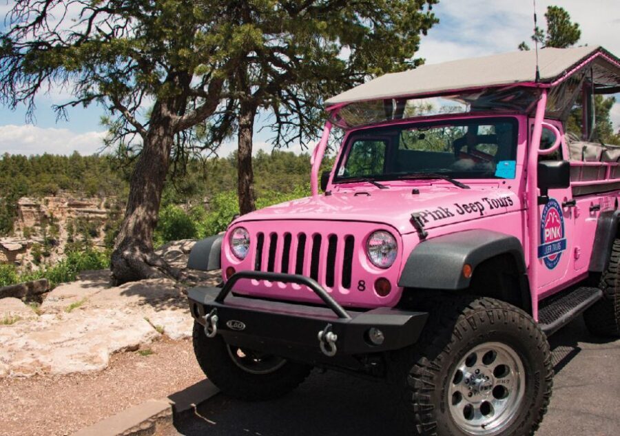 Tusayan: Grand Canyon Desert View & South Rim Pink Jeep Tour - Exploring the Grand Canyon with Pink Jeep Tours: What to Expect