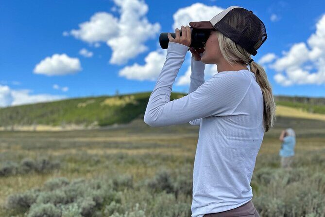 Two Day Yellowstone Tour: Upper & Lower Loop | Bozeman | PRIVATE - Does the Price Offer Good Value?