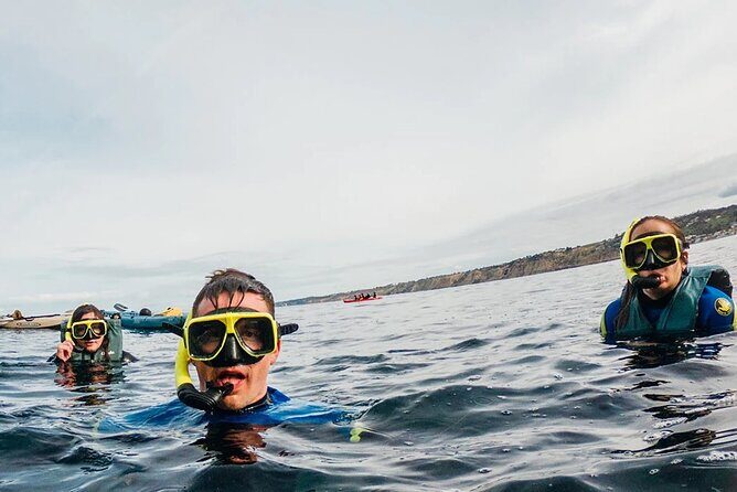 Two Hour Kayak and Snorkel Tour for Two in La Jolla - Are the Reviews Warranted? Real Experiences