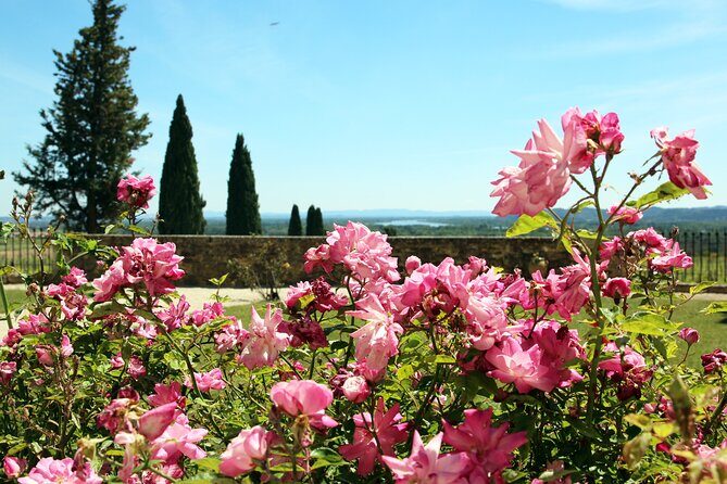 Two intensive days discover exceptional wines of the Rhône valley - The Experience in Practice