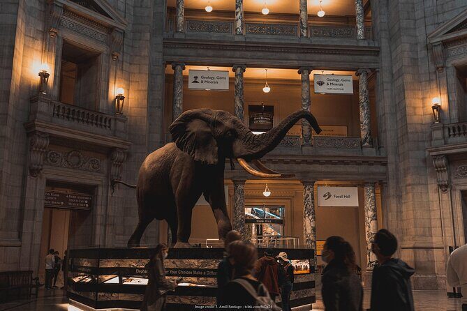 Two Smithsonian Museums Private Tour: American & Natural History - Final Thoughts: Who Will Love This Tour?