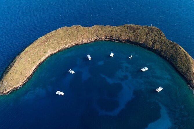 Two Stop Snorkel Adventure from Maui - Who Will Love This Tour?