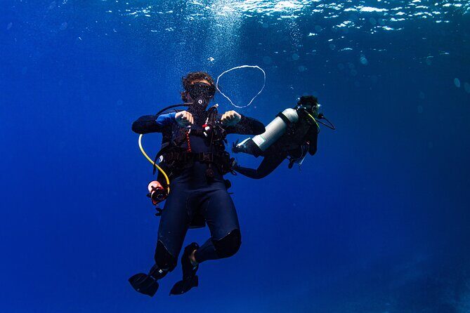 Two Tank Morning Reef Dive and Snorkel - What to Expect from the Itinerary