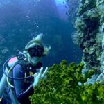 Two Tank Morning Scuba Dive - The Uniqueness of Small-Group Diving