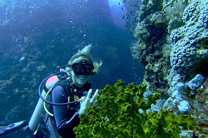Two Tank Morning Scuba Dive - The Uniqueness of Small-Group Diving