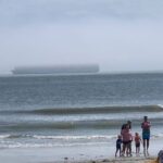 Tybee Island Day at the Beach Experience from Savannah - Why This Tour Offers Great Value