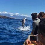 Ultimate 4 Hour Lanai Snorkel and Dolphin Encounter - What Reviewers Say