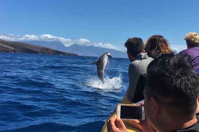 Ultimate 4 Hour Lanai Snorkel and Dolphin Encounter - What Reviewers Say