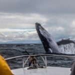 Ultimate Alaskan Adventure: Ocean Wildlife to Interior Wilderness 9 Day/8 Nights - Why This Tour Offers Value