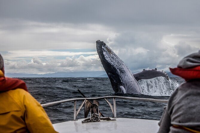 Ultimate Alaskan Adventure: Ocean Wildlife to Interior Wilderness 9 Day/8 Nights - Why This Tour Offers Value