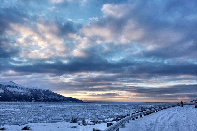 Ultimate Anchorage Winter Wildlife & Sunset Tour - Duration and Timing