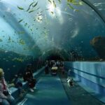 Ultimate Atlanta Walking Tour and Activities - The Practicalities and How It Works