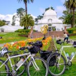 Ultimate Electric SF Bike Tour- food, icons & local hidden gems - Authentic Reviews: What Travelers Are Saying