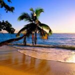 Ultimate North Shore Adventure: Full-Day Hawaiian Experience - A Deep Dive into the Itinerary