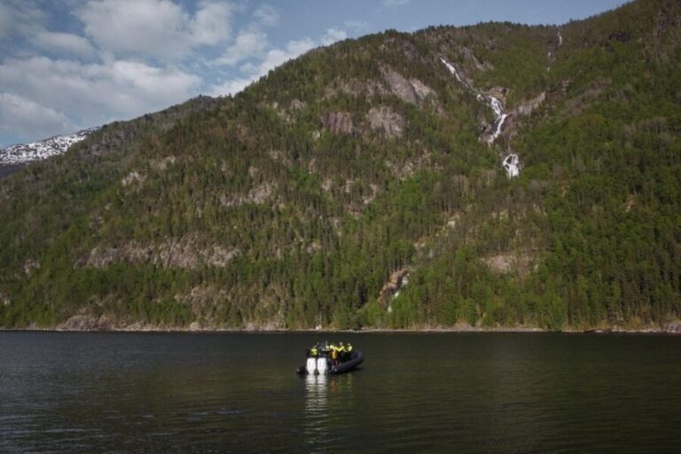 Ulvik adventure: Exploring Hardangerfjord's Osafjord by RIB - What to Expect on the Tour