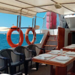 UMAG: Swimming&Panorama / Welcome Drink and Dolphin spotting - What’s Included and What’s Not