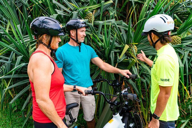 Umauma Falls eBike Tour in Hakalau - Practical Considerations & Tips for Travelers