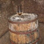 Unique EnoBike experience with tasting in 2 excellent wineries - Practical Details and What You Can Expect