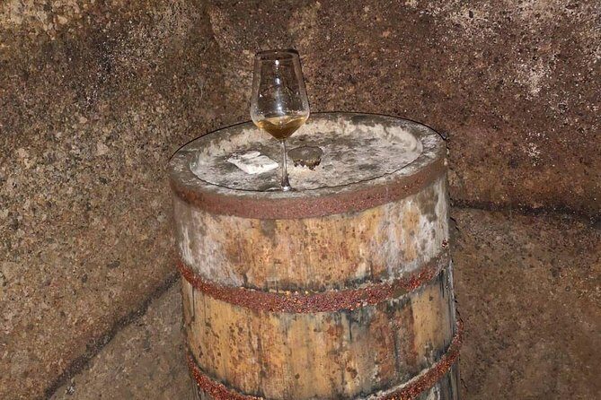 Unique EnoBike experience with tasting in 2 excellent wineries - Practical Details and What You Can Expect
