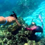Unlimited Guided Snorkeling Tour for Beginners Plus - The Itinerary Breakdown