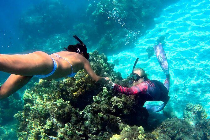 Unlimited Guided Snorkeling Tour for Beginners Plus - The Itinerary Breakdown