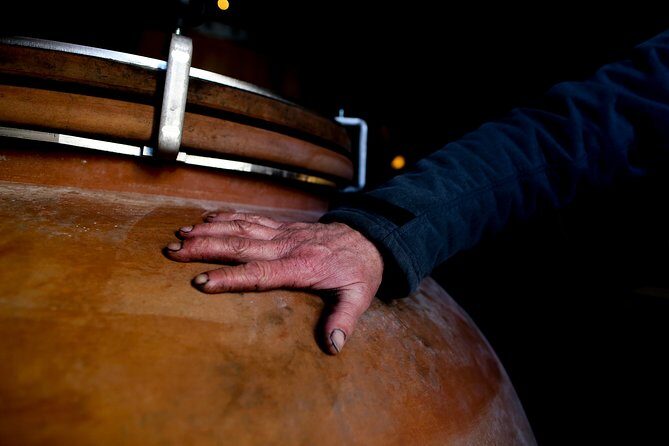 Unusual visit & Tasting of our organic wines - The Tasting Experience: Five Organic Wines