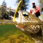 Upper Colorado River Guided Fly Fishing Trip - Who Will Love This Tour?