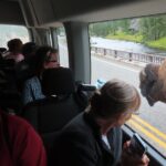 Upper Loop Tour and Lamar Valley from West Yellowstone with Lunch - Final Thoughts