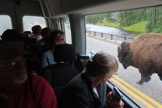 Upper Loop Tour and Lamar Valley from West Yellowstone with Lunch - Final Thoughts