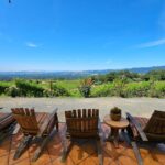 USA/California/Napa: Private Wine Tour for up to 6 guests - Cost and Value Analysis