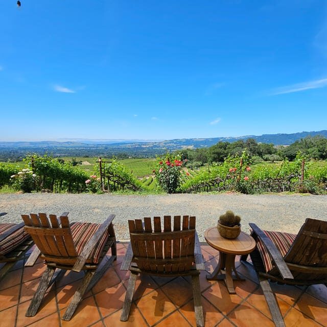 USA/California/Napa: Private Wine Tour for up to 6 guests - Cost and Value Analysis