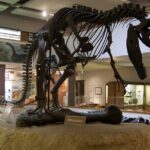 Utah Mighty 5 National Parks: Small Group 5-Day Tour - The Practical Side: Transportation, Cost, and Group Size