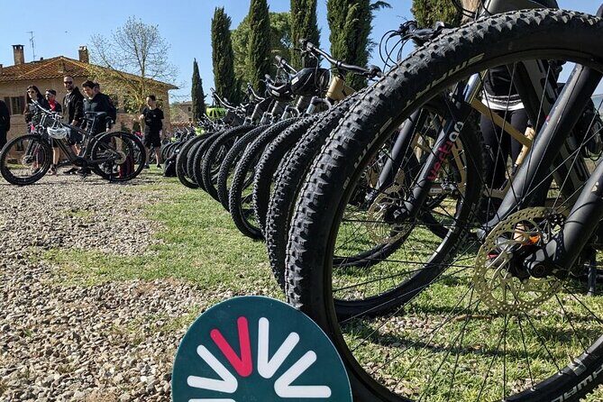 Valdorcia & Brunello Ebike Experience Tour - What You Can Expect in Terms of Comfort and Quality