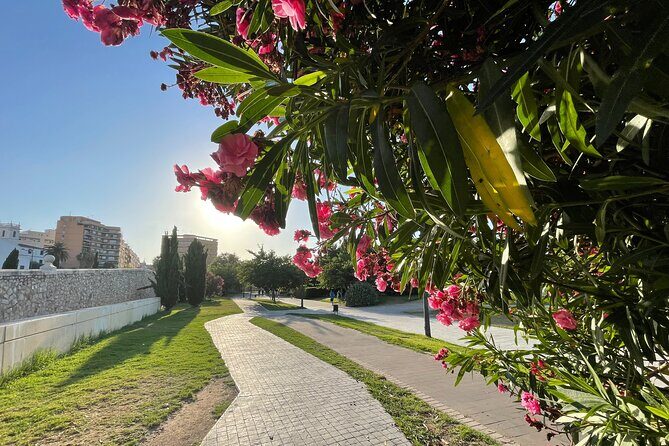 Valencia Bike Tour: Top Sights and City of Arts & Sciences - What the Ride Means for You