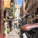 Valencia Old Town Private Tour by Bike or Electric Ride - Why Choose a Private Bike or Electric Tour?