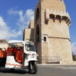 Valencia: Tuk Tuk Historical Tour - Practical Details & How to Make the Most of It