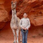 Valley of Fire Llama Hikes - What Travelers Are Saying