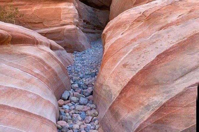 Valley of Fire/ Mojave Desert VIP Small Group Tour From Las Vegas - Pricing and Value for Money