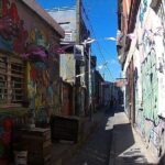 Valparaiso & Viña Del Mar, Museum & Lunch FROM STGO. Private Tour - Transportation and Comfort